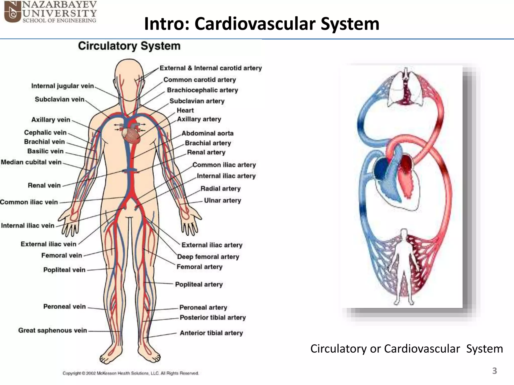 CFD Modeling of Hemolysis in Medical Devices used in the Treatment of Cardiovascular Disease ...