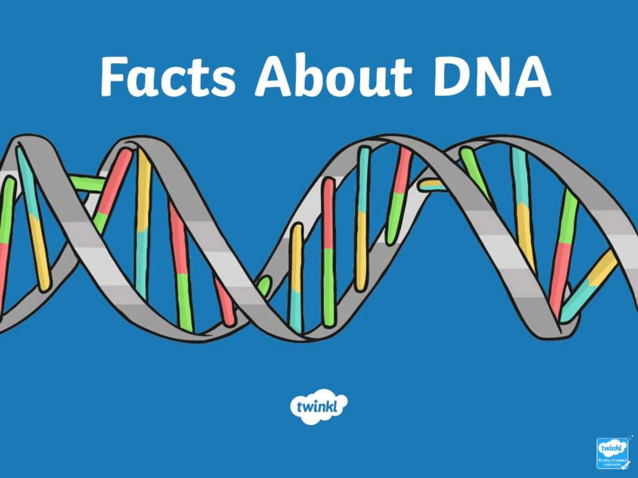 Facts about DNA | PPT