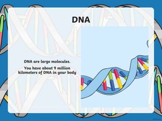Facts about DNA | PPTX