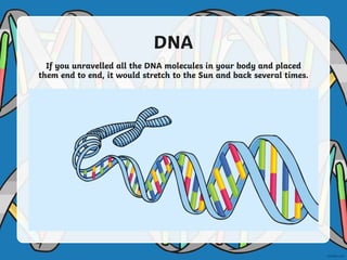 Facts about DNA | PPTX