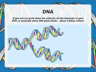 Facts about DNA | PPTX