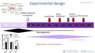 CFERV 2019 Frankel | PPT