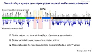 CFERV 2019 Traynelis | PPT