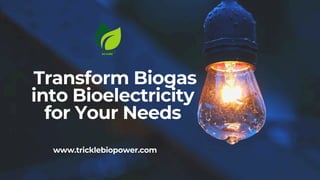 Bioelectricity from Biogas: Efficient and Green | PDF