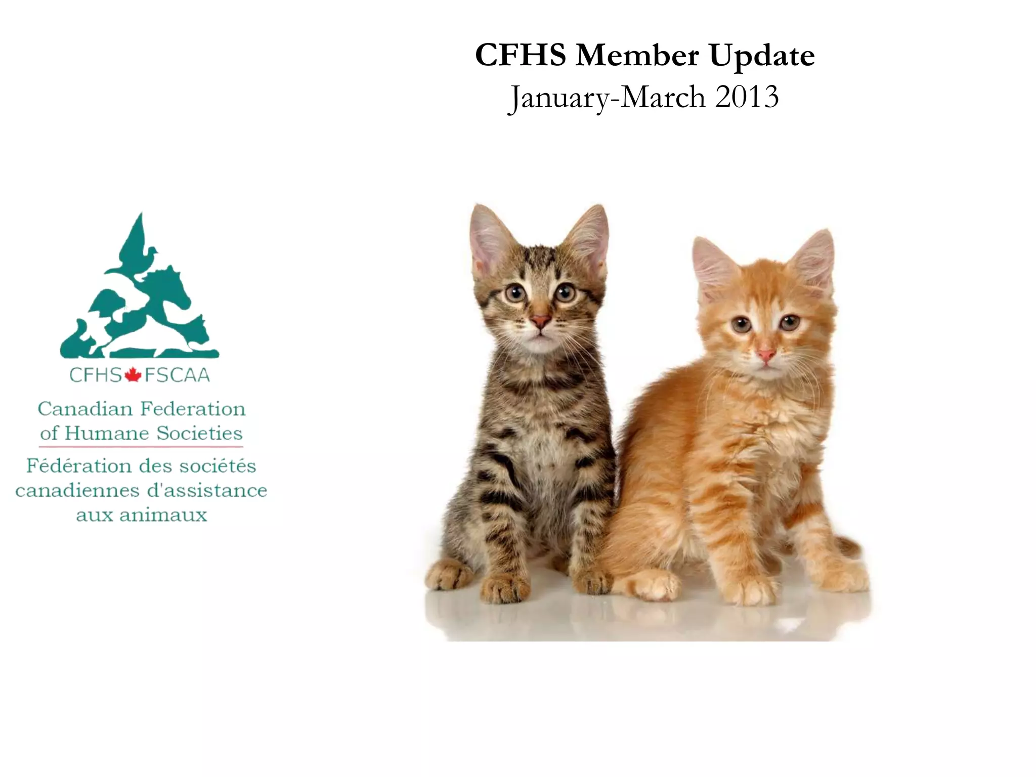 Cfhs member update january march 2013 | PPT