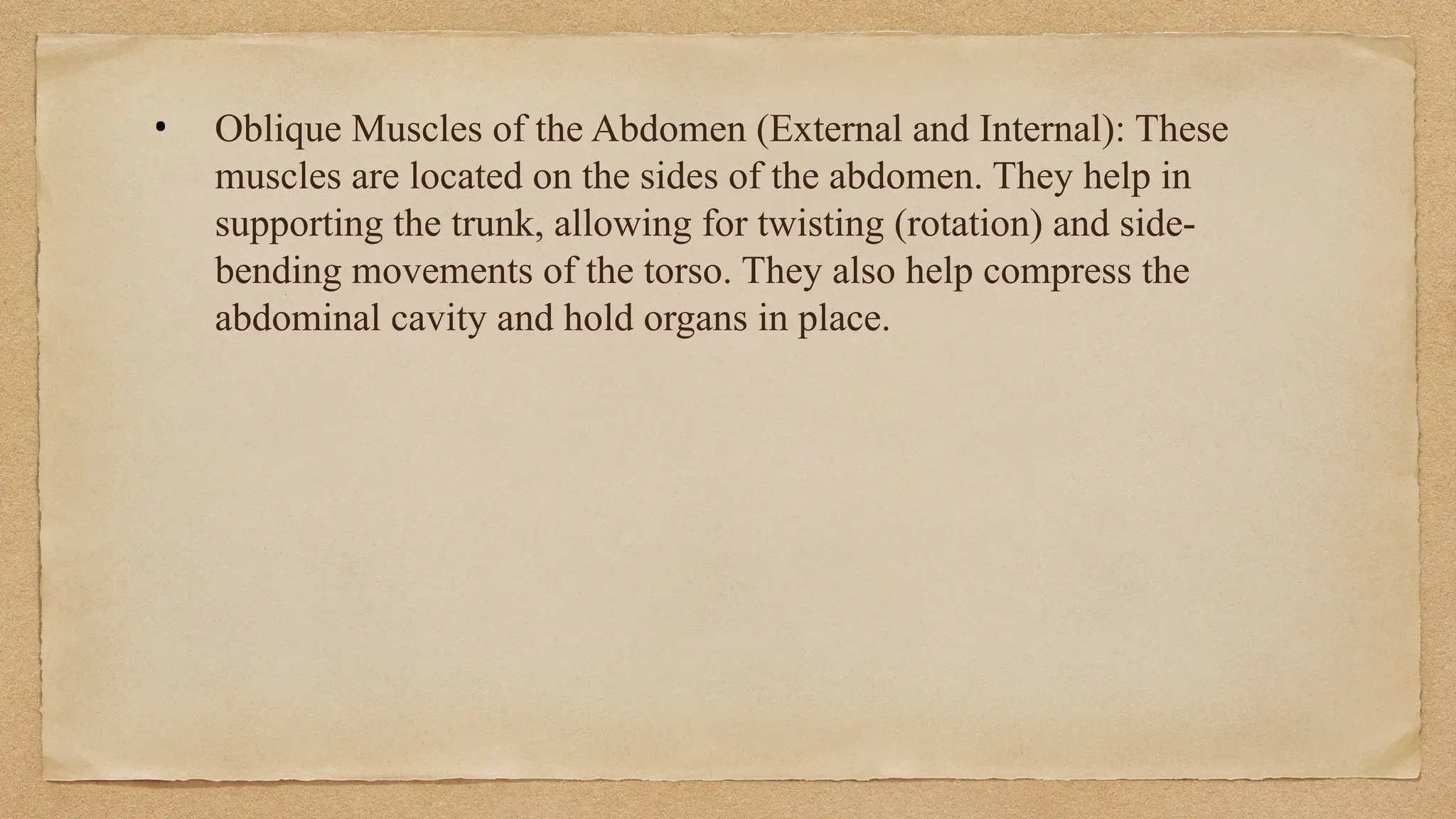 CF important muscles in the body .ppt for Anatomy | PPTX