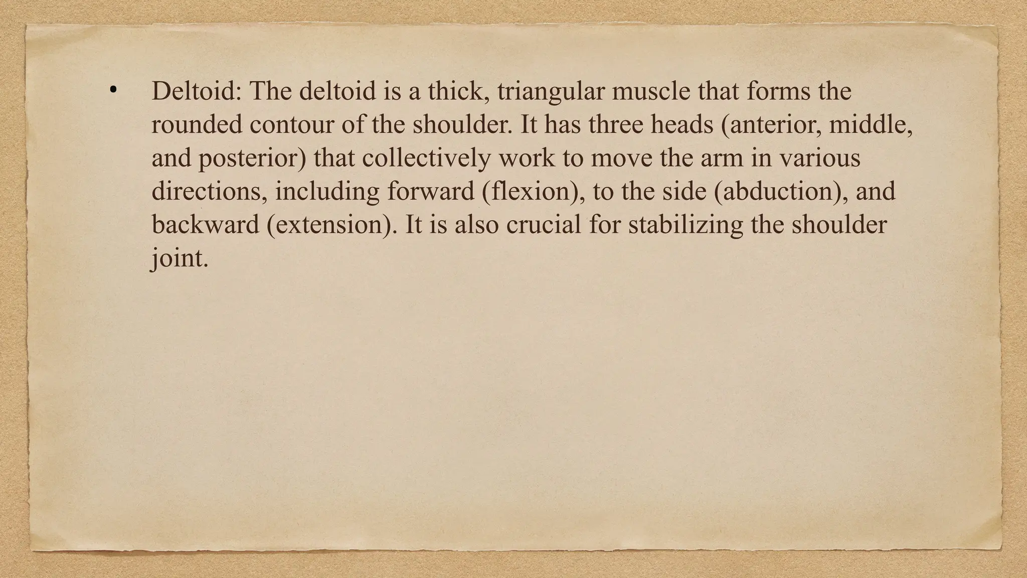 CF important muscles in the body .ppt for Anatomy | PPTX