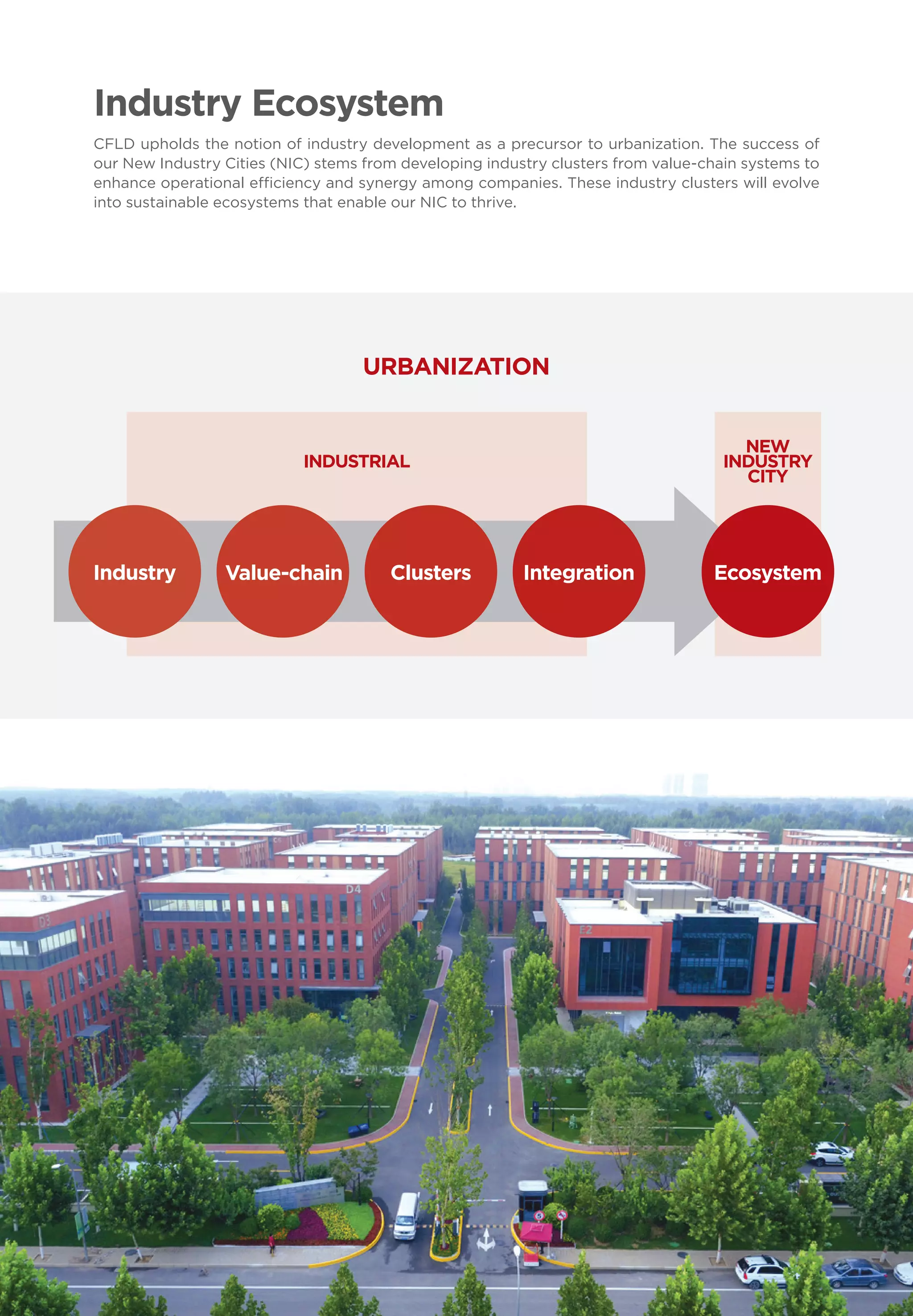 Introduction to CFLD IDBG | PDF