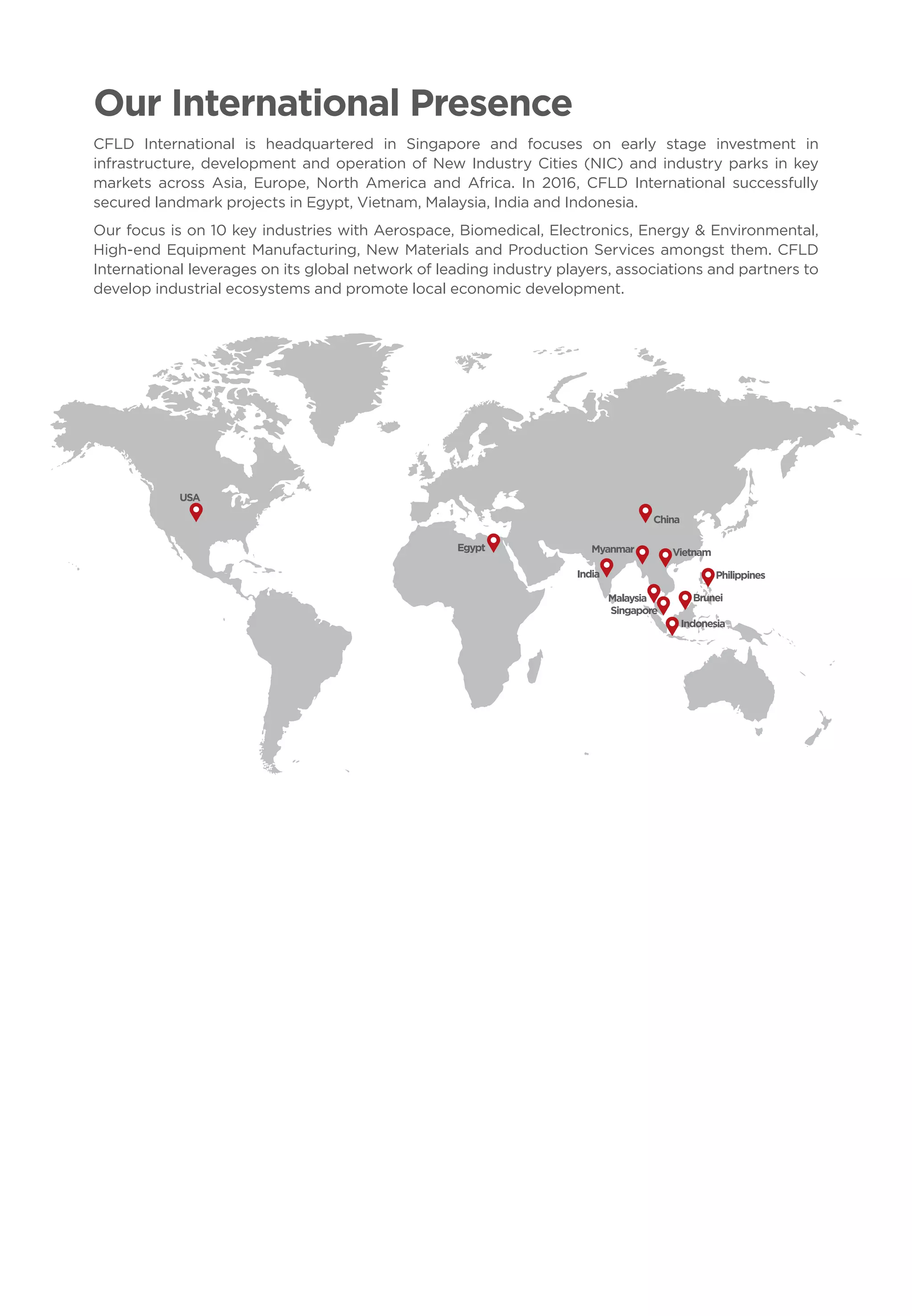 Introduction to CFLD IDBG | PDF