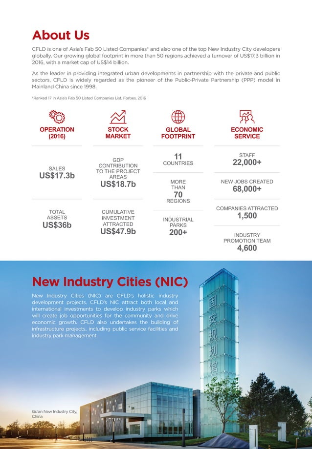 Introduction to CFLD IDBG | PDF