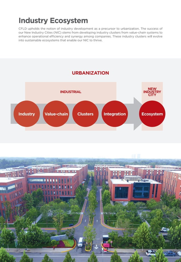 Introduction to CFLD IDBG | PDF