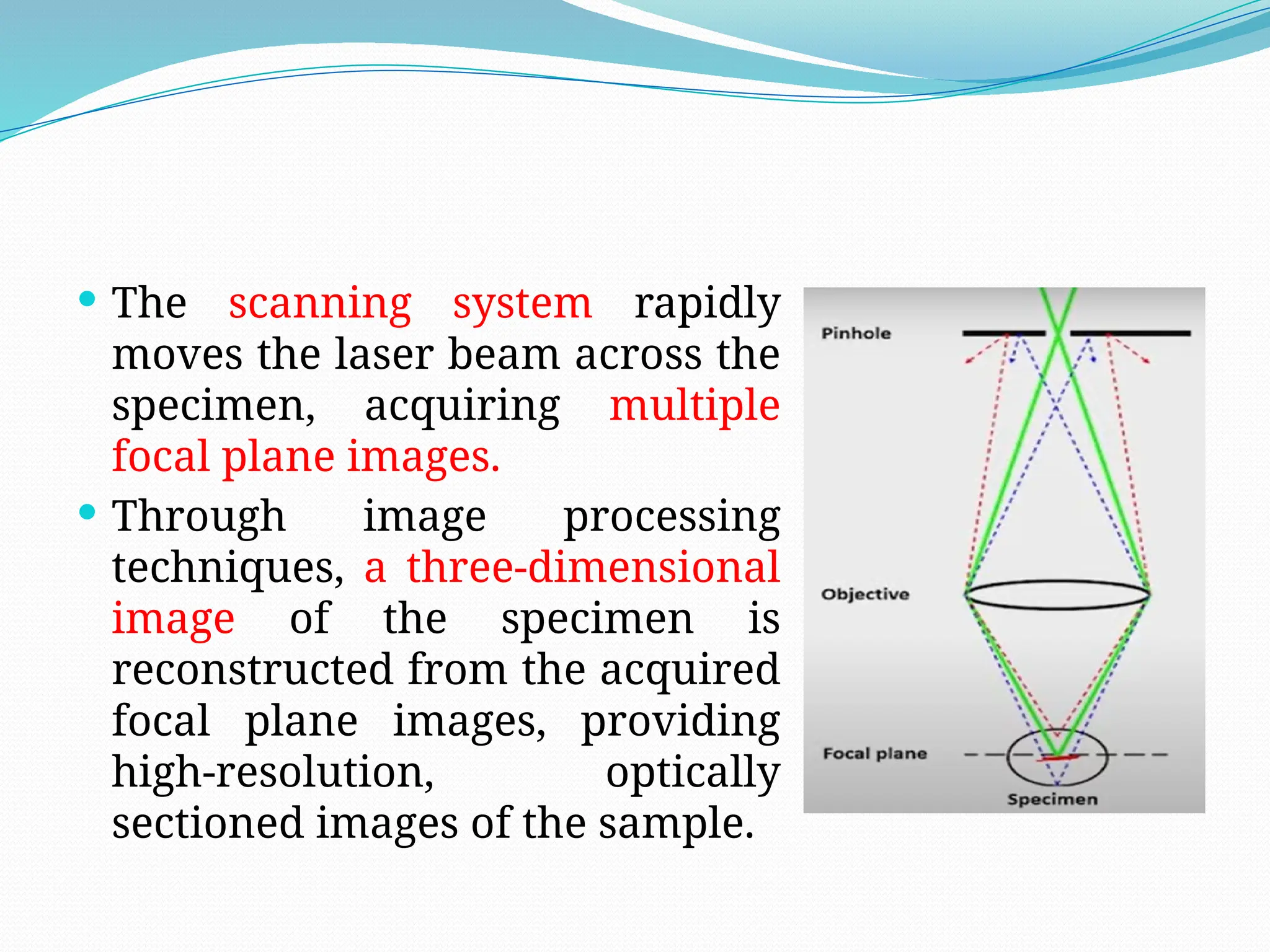 Confocal microscopy principle and application | PPTX