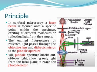 Confocal microscopy principle and application | PPTX
