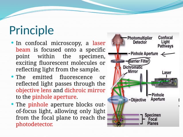 Confocal microscopy principle and application | PPTX