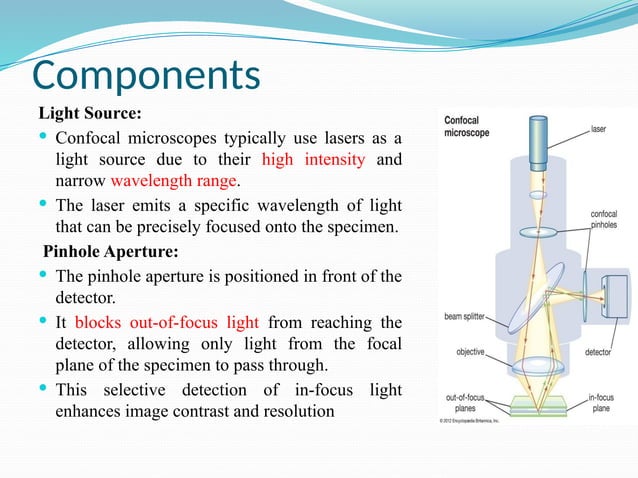Confocal microscopy principle and application | PPTX