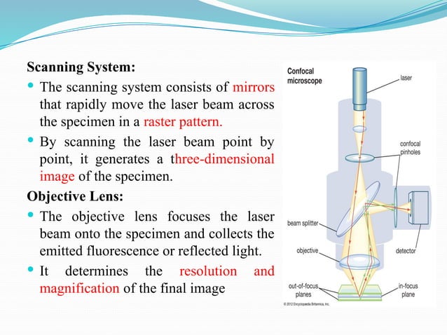Confocal microscopy principle and application | PPTX