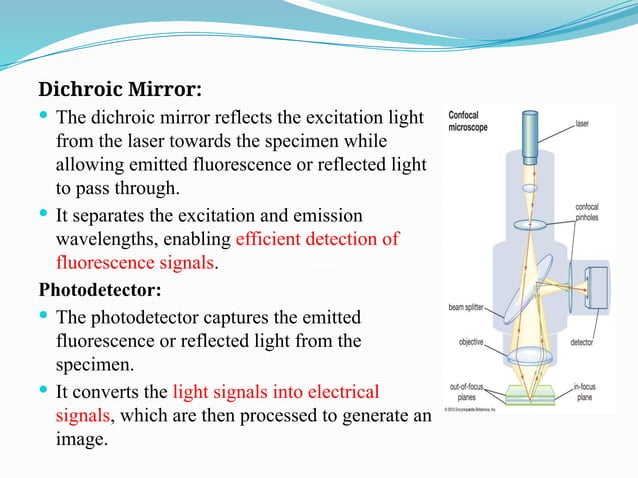 Confocal microscopy principle and application | PPTX
