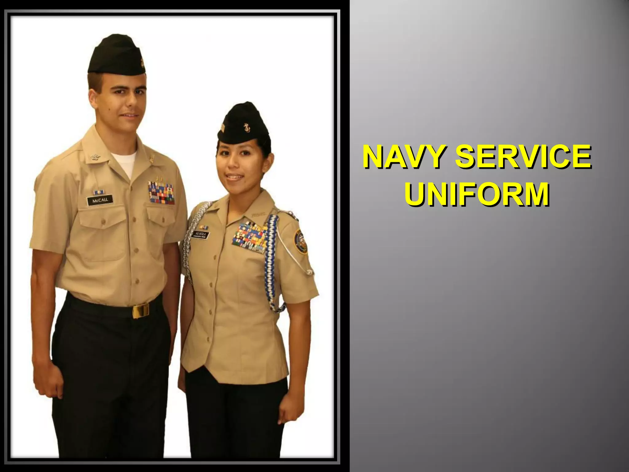 NS1 1.0 NJROTC Uniform Regulations | PDF