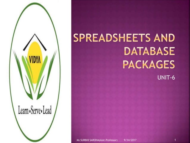 Spreadsheets and Database Packages | PPTX | Databases | Computer Software and Applications