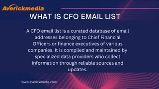 CFO Email List | PDF