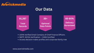 CFO Email List | PDF