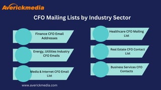 CFO Email List | PDF