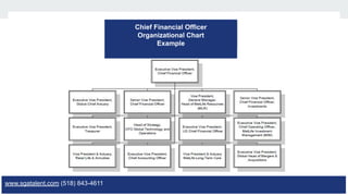 Chief Financial Officer Organization Chart