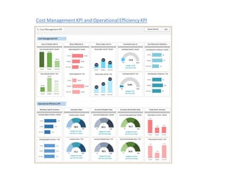 Finance Dashboard - CFO KPI Dashboard.pdf