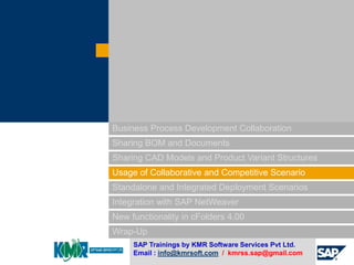 SAP cFolders Training | PDF