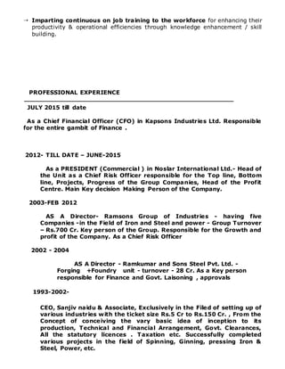 Cfo profile | DOCX | Business Administration | Business