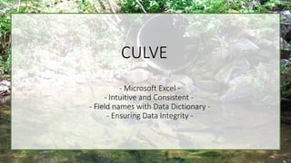 GIS Consulting with the BCAF | PDF