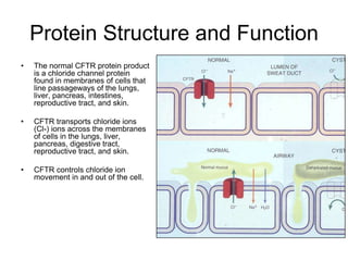 Cystic fibrosis | PPTX