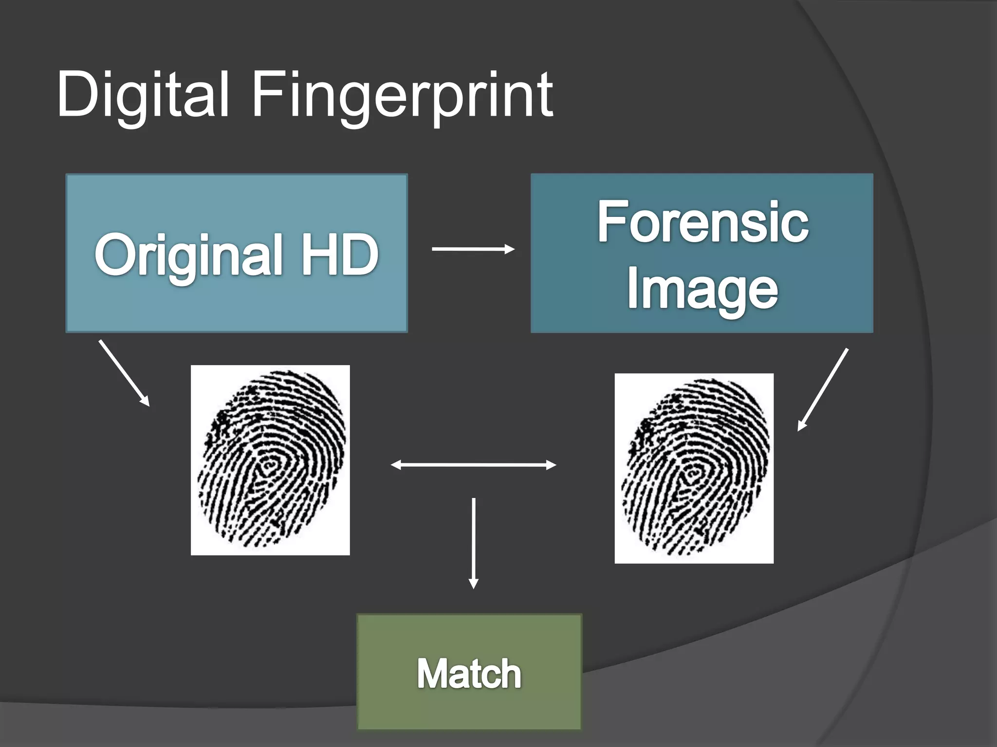 Overview of the Digital Forensics Process | PPT