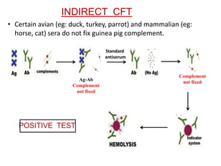 Complement Fixation Test: Principle, Procedure, Result, 52% OFF