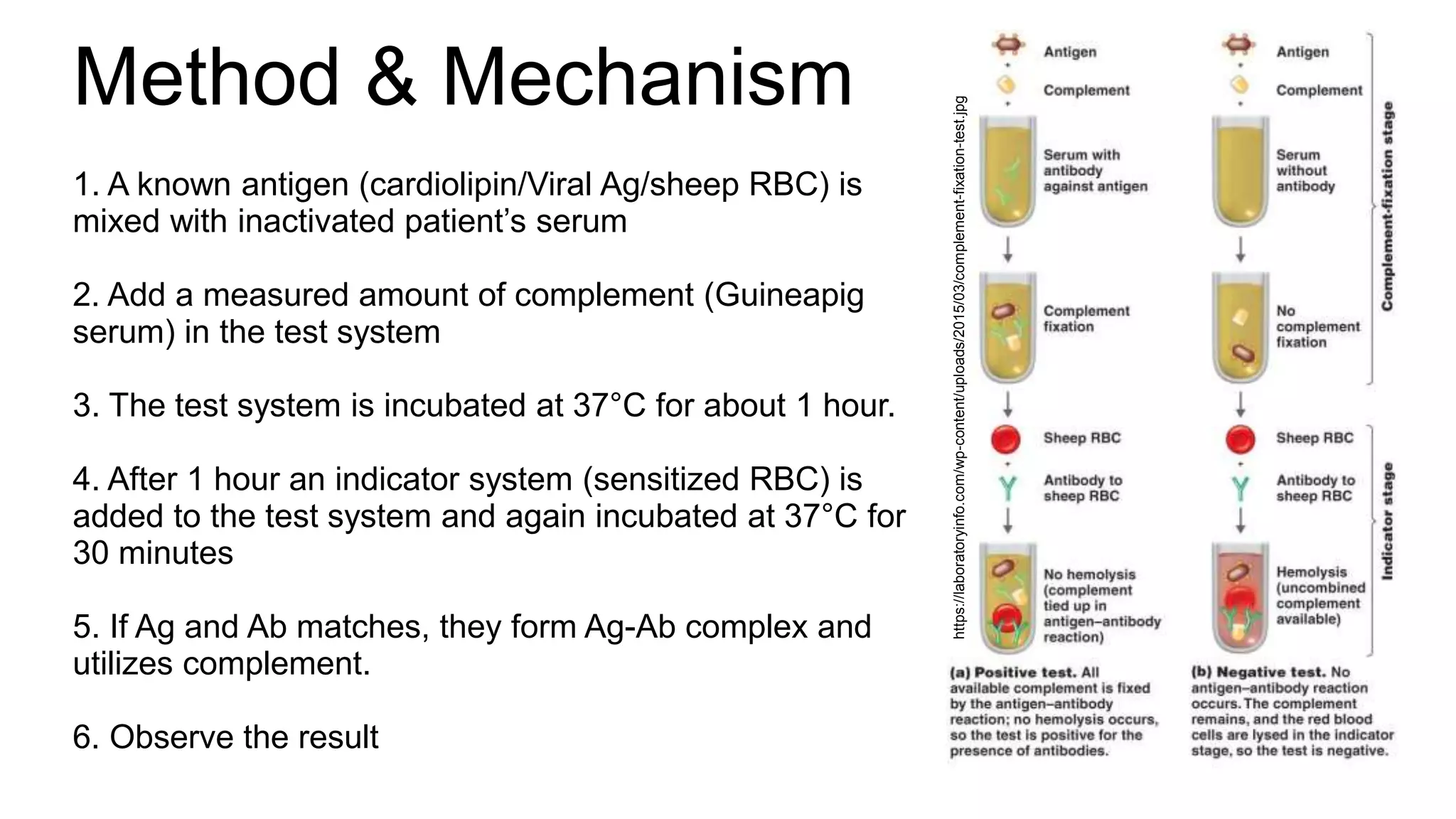 Complement Fixation Test Ppt