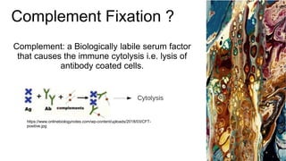 Complement fixation test.ppt | Blood Disorders | Diseases and Conditions