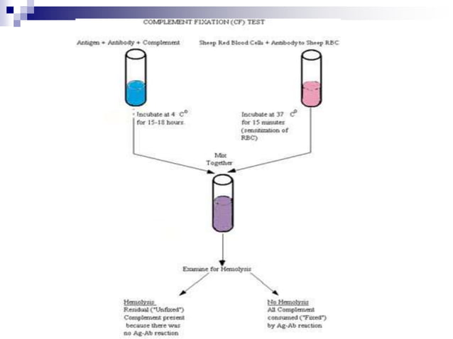 PRACTICAL 18: COMPLEMENT FIXATION TEST.ppt