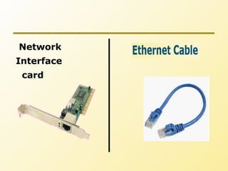 Unit 1: Recognizing Computers | PPT