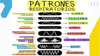 CFV-RESPIRACION (6).pptx un buen tema para aprender | PPTX