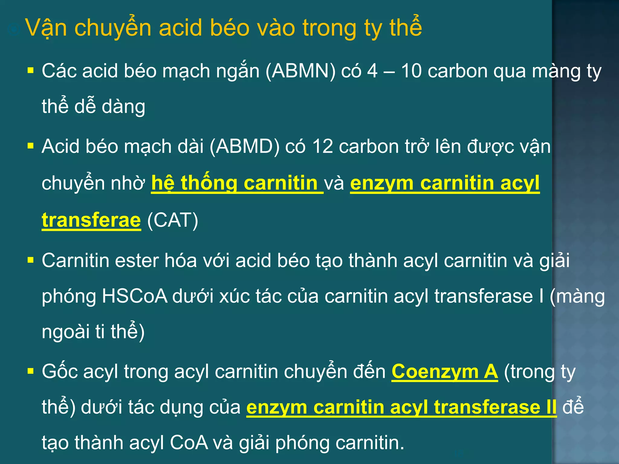 Chuyển hóa lipid | PDF