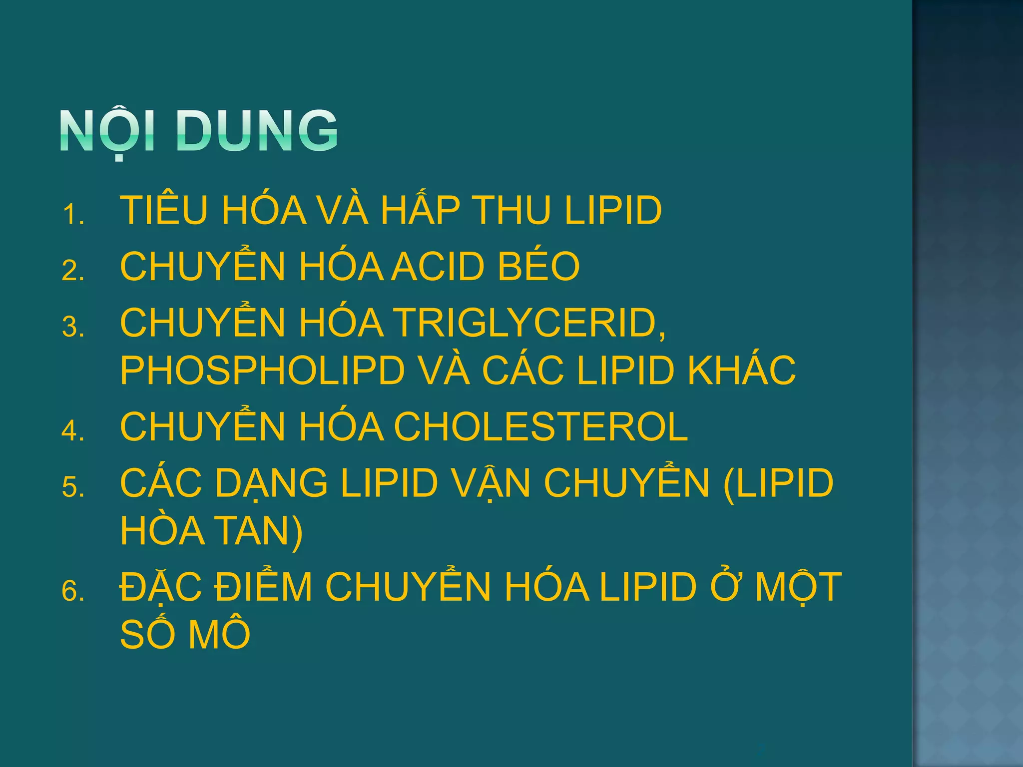 Chuyển hóa lipid | PDF