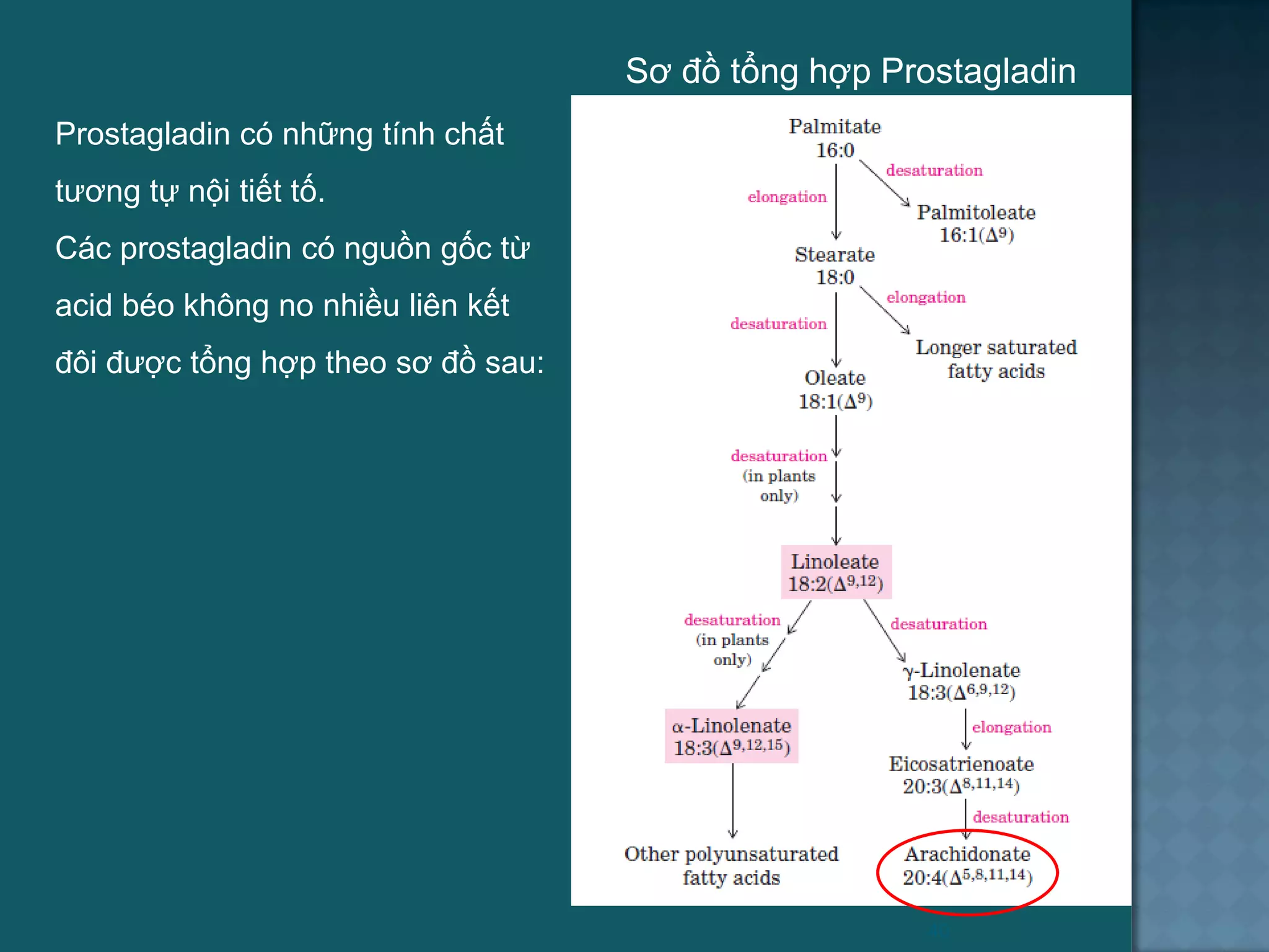 Chuyển hóa lipid | PDF