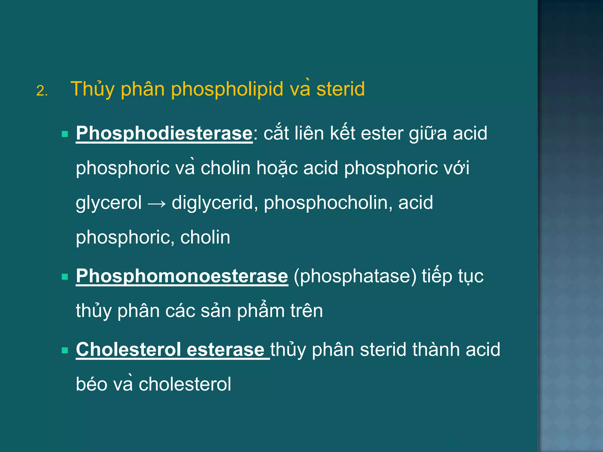 Chuyển hóa lipid | PDF