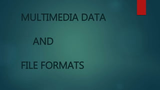multimedia data and file format | PPT