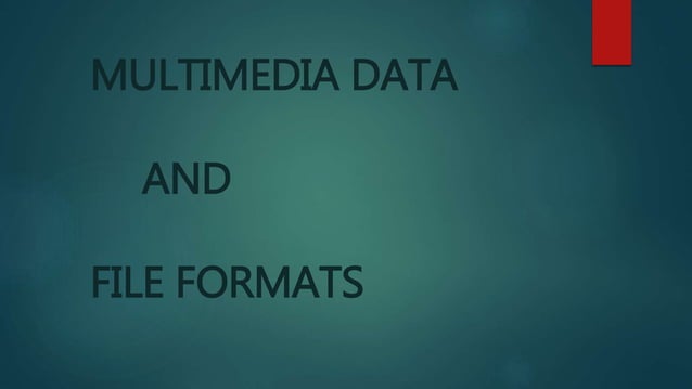 multimedia data and file format | PPTX | Digital Audio | Computer Software and Applications
