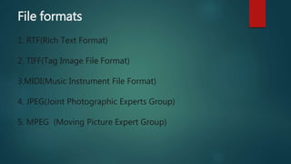multimedia data and file format | PPTX