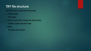 multimedia data and file format | PPTX