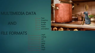 multimedia data and file format | PPTX