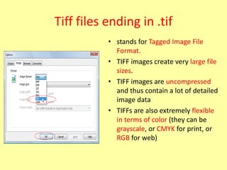 Cg introduction | PPT