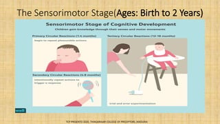 JEAN PIAGET'S THEORY OF COGNITIVE DEVELOPMENT | PPTX